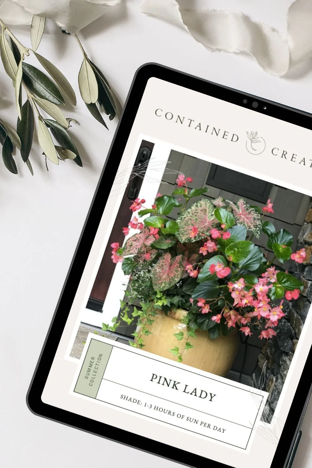 Summer Window Box Recipe — Contained Creations