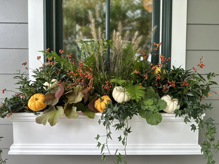 Fall Window Box Makeover — Contained Creations