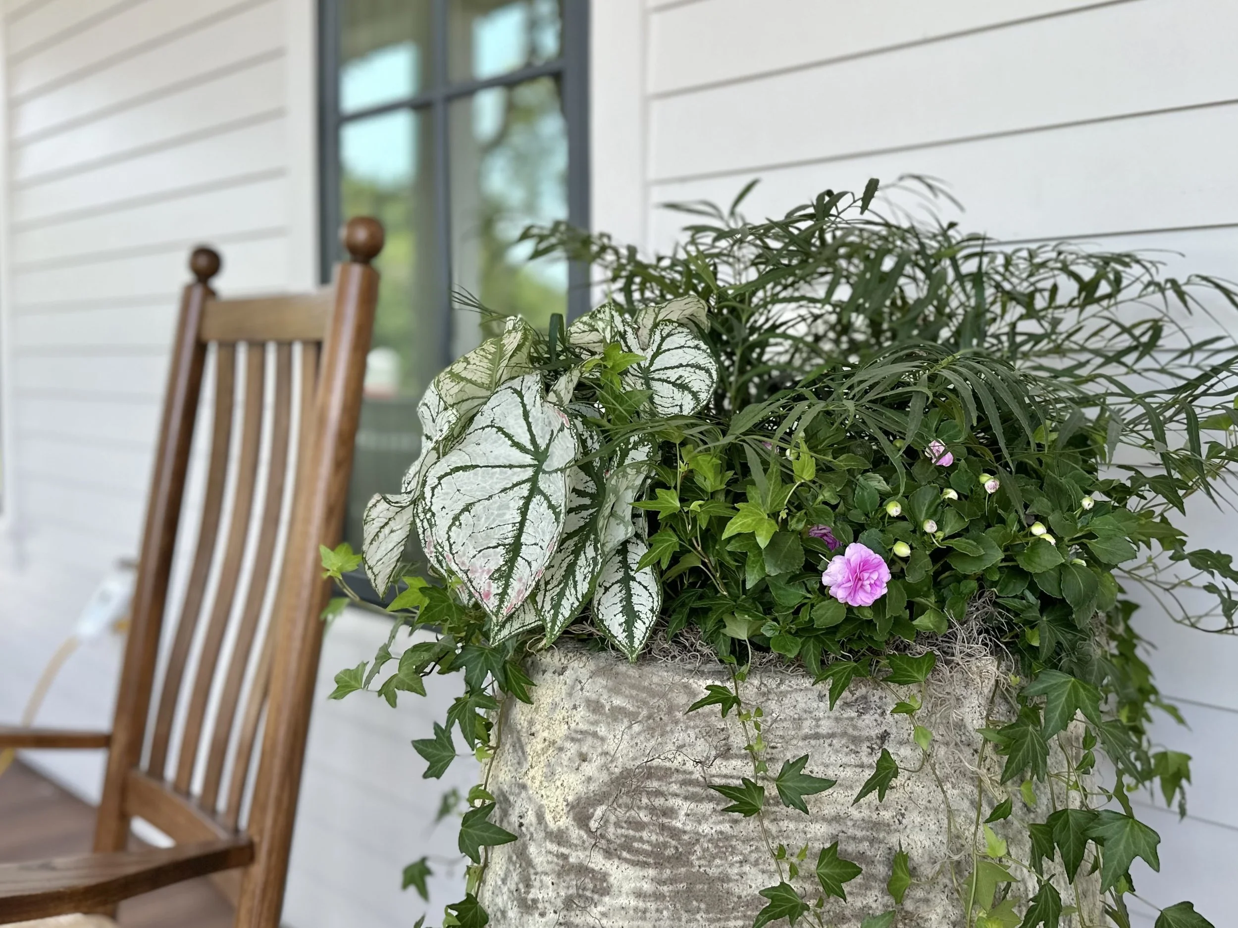 Tour the Container Gardens of the Southern Living® Idea House ...
