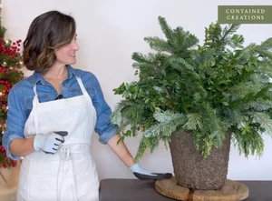 Online Class: Winter Container Gardens — Contained Creations