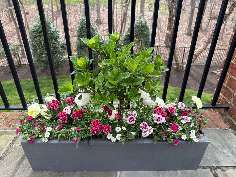 Spring Container Gardens: Master Gardening Skills — Contained Creations