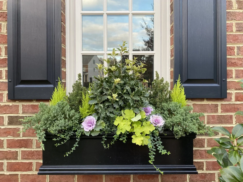 Using Evergreens in Container Gardens — Contained Creations