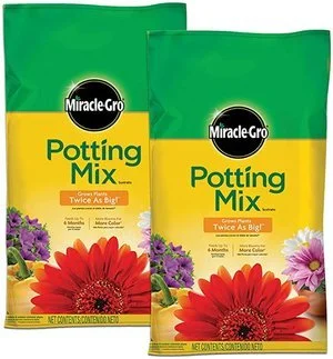 Prepare for Container Gardening Season: 5 Tips — Contained Creations