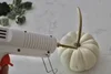 Succulent Pumpkins — Contained Creations