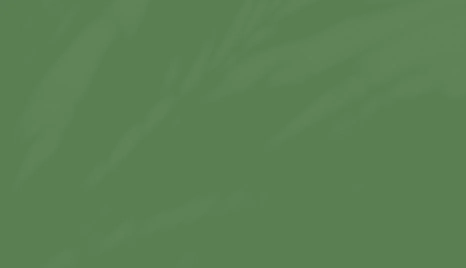 Services — Pine Line Vans