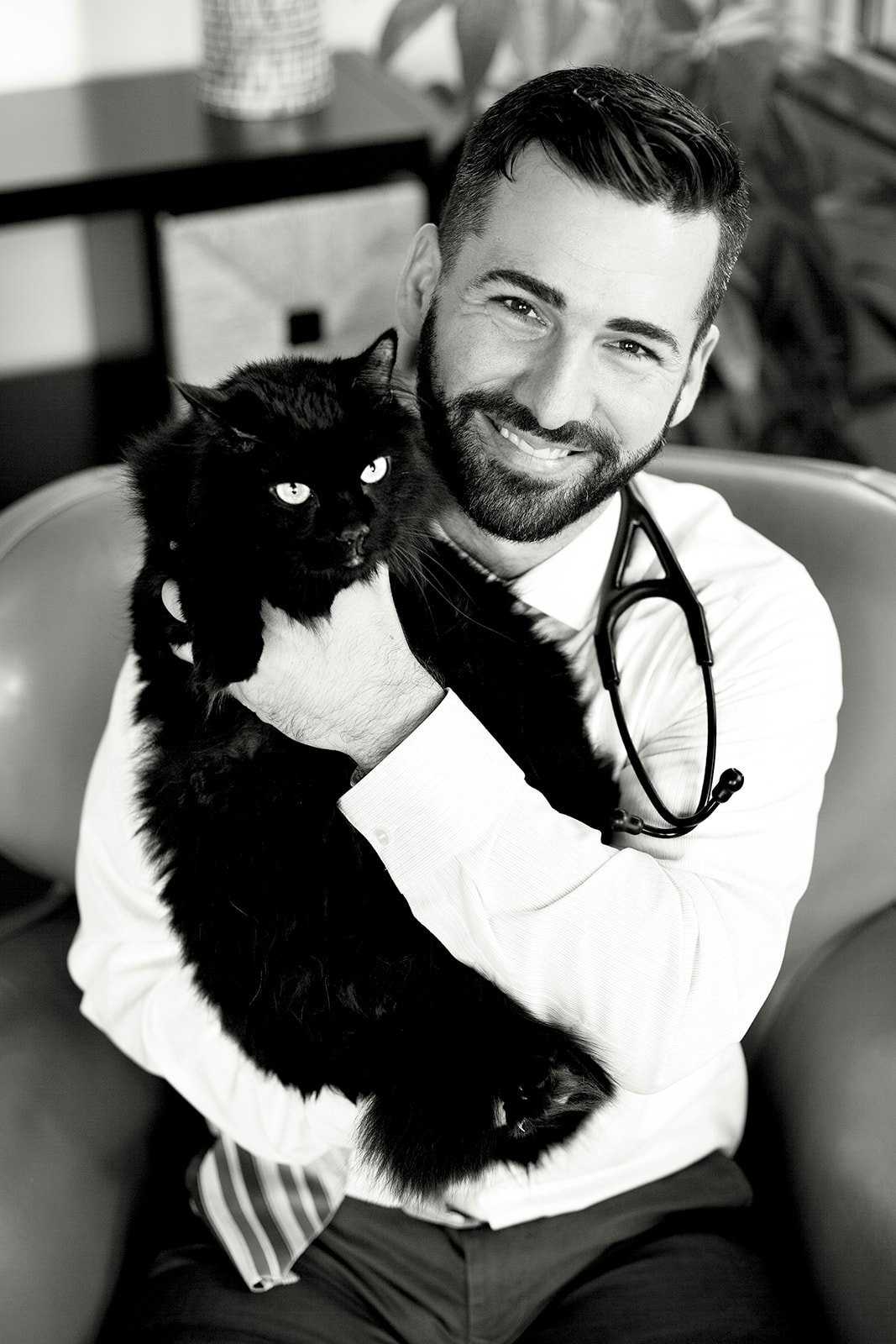 About — South Sound Veterinary Imaging