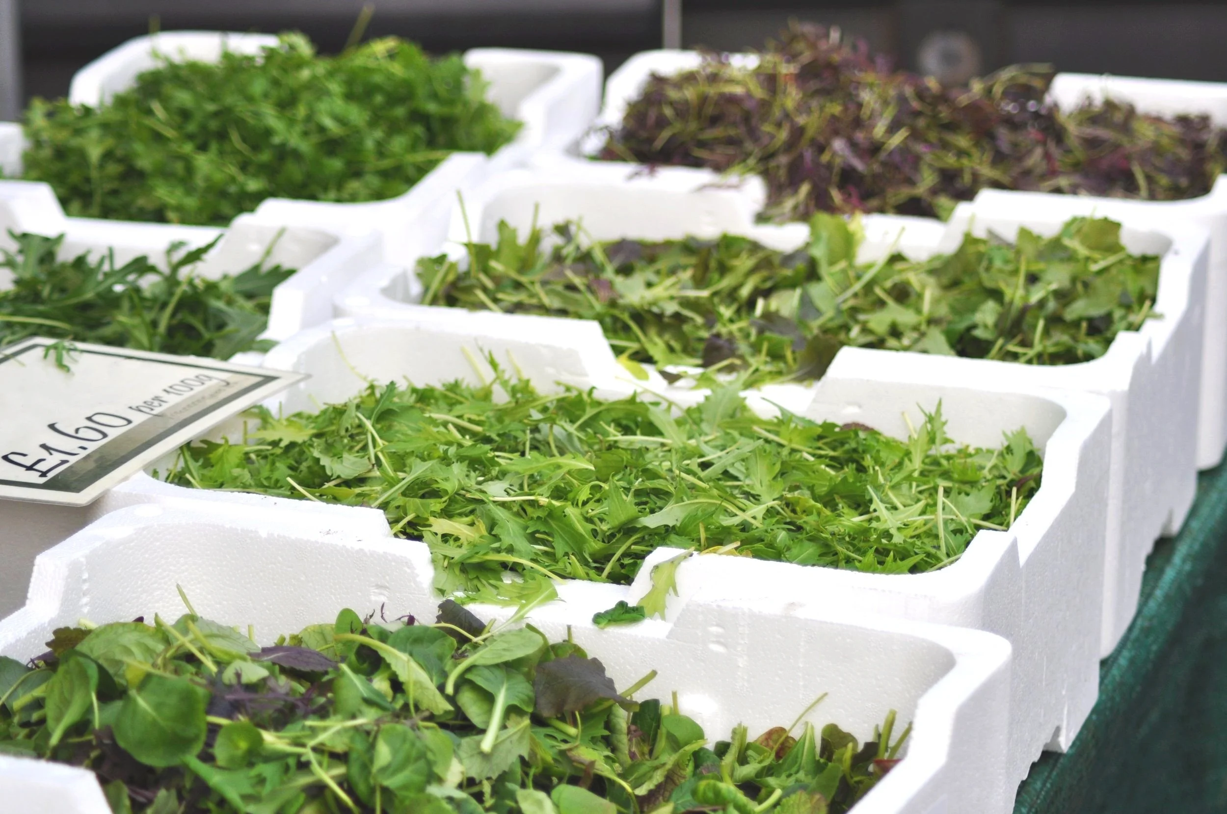 Green Building & Energy Efficiency — EPS Industry Alliance