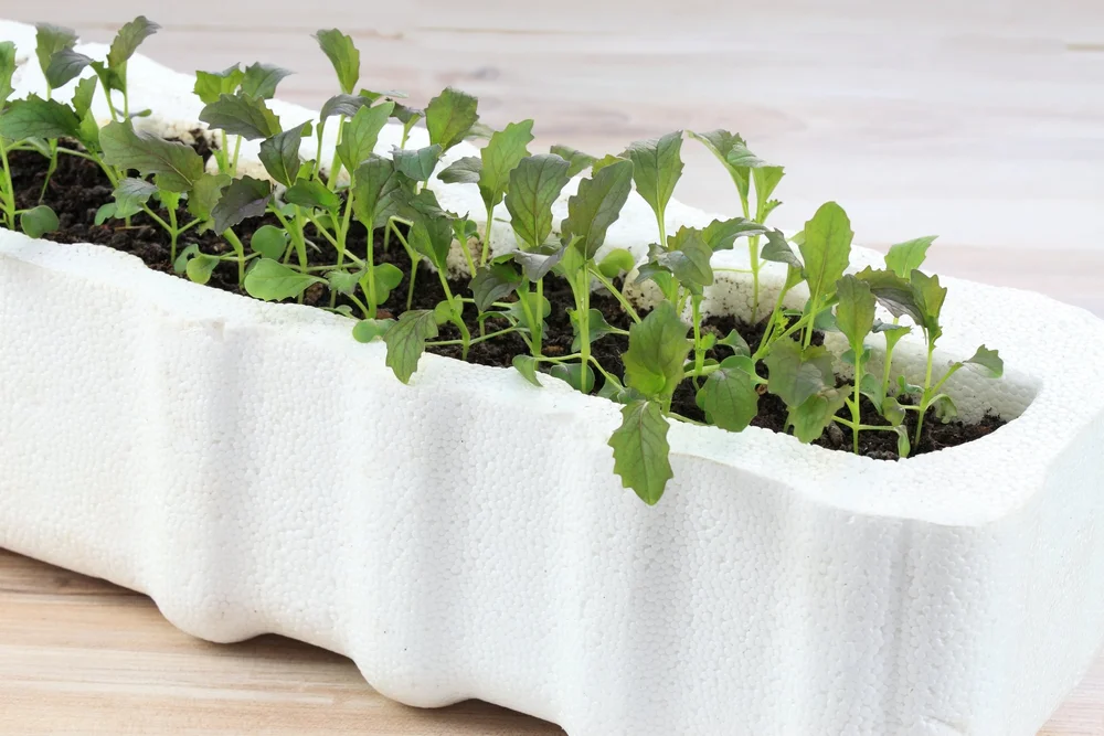 EPS Insights — EPS Industry Alliance