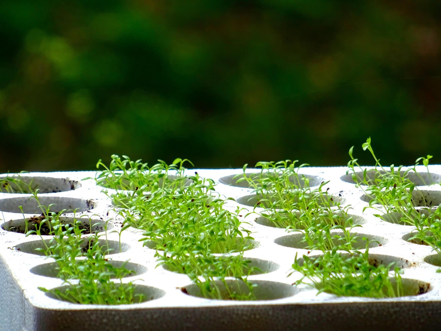 EPS Industry Alliance