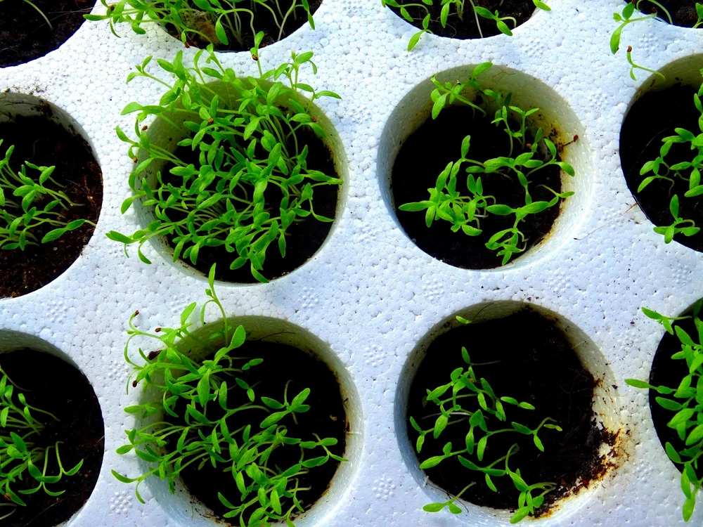 EPS Sustainability — EPS Industry Alliance