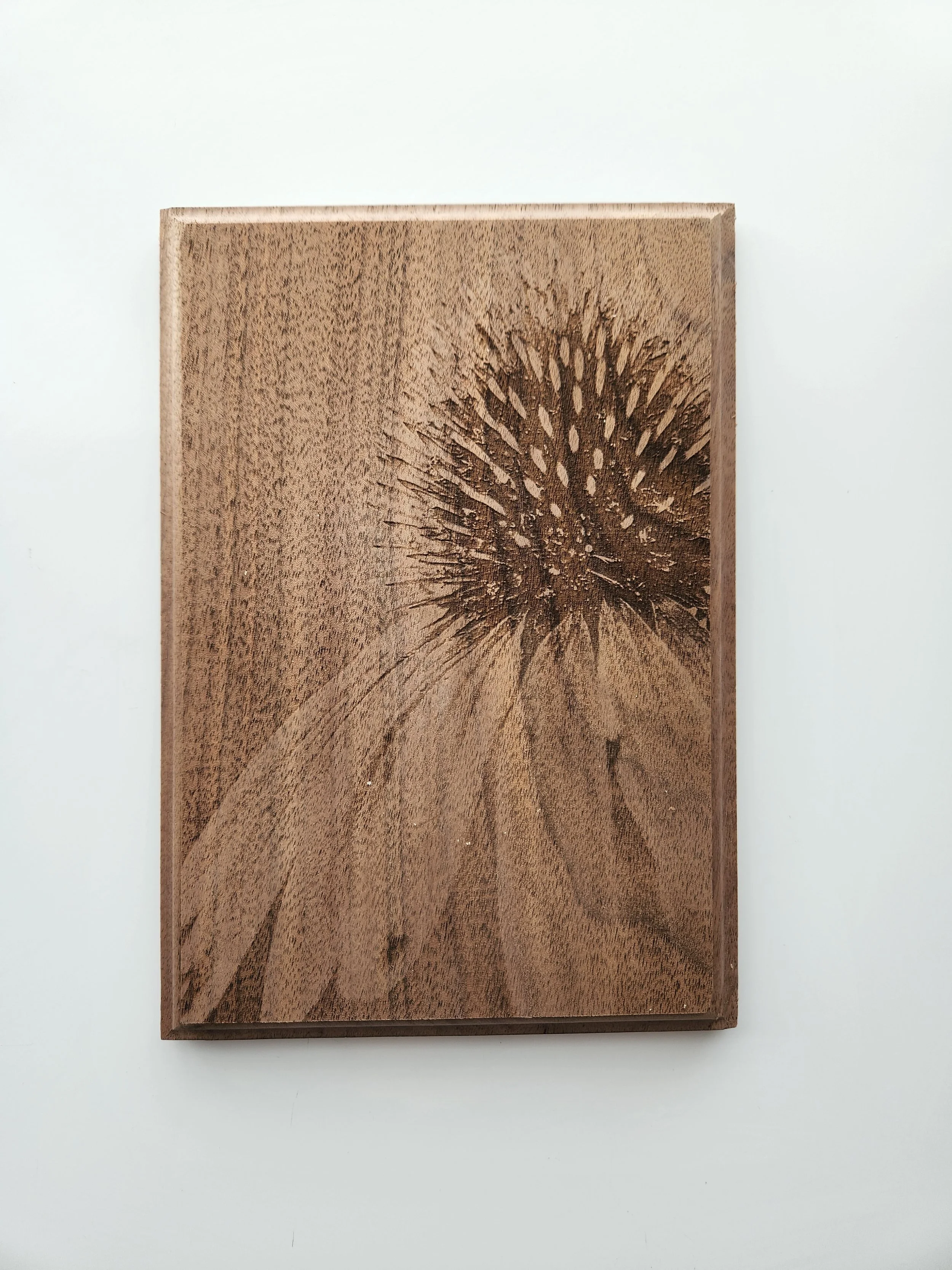 Engraved Custom Photo — Focus Engraving