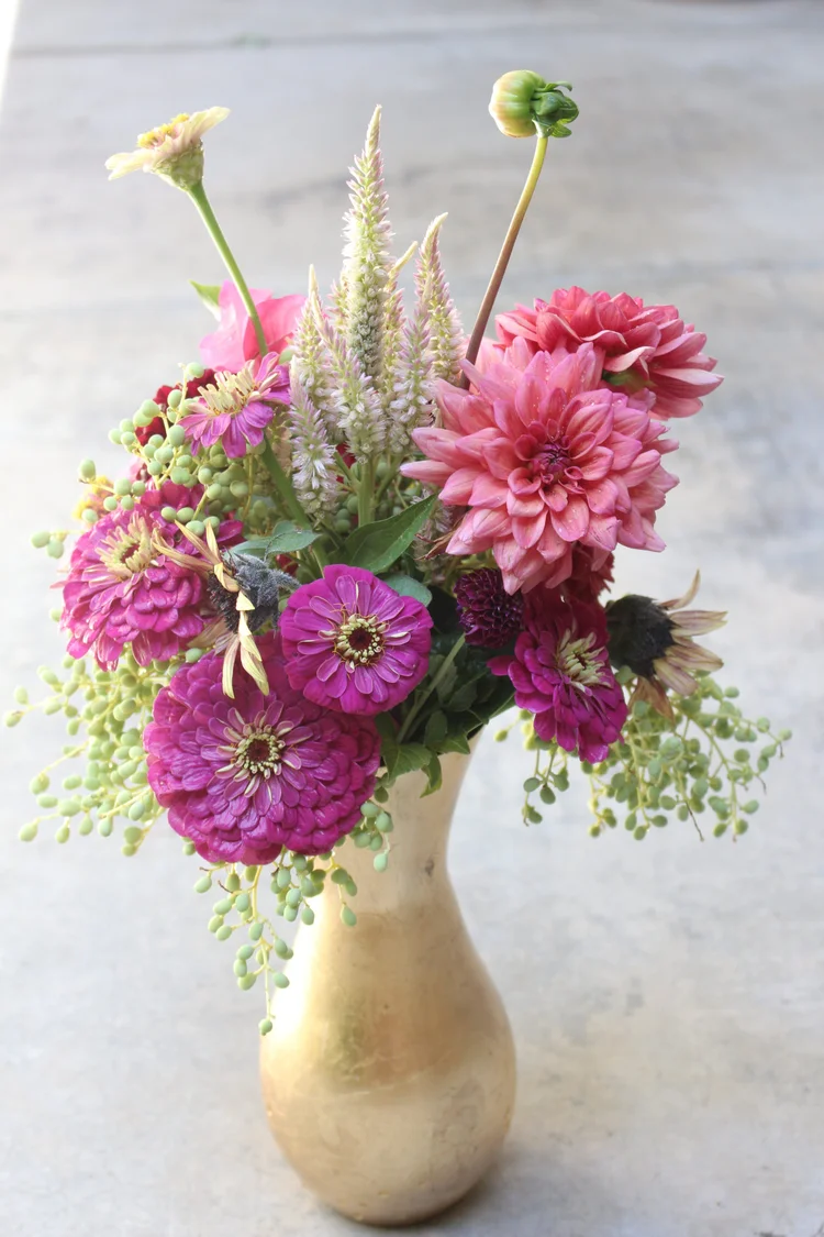 Garden Journal: Remnants of the Summer Garden — The Gilded Bloom