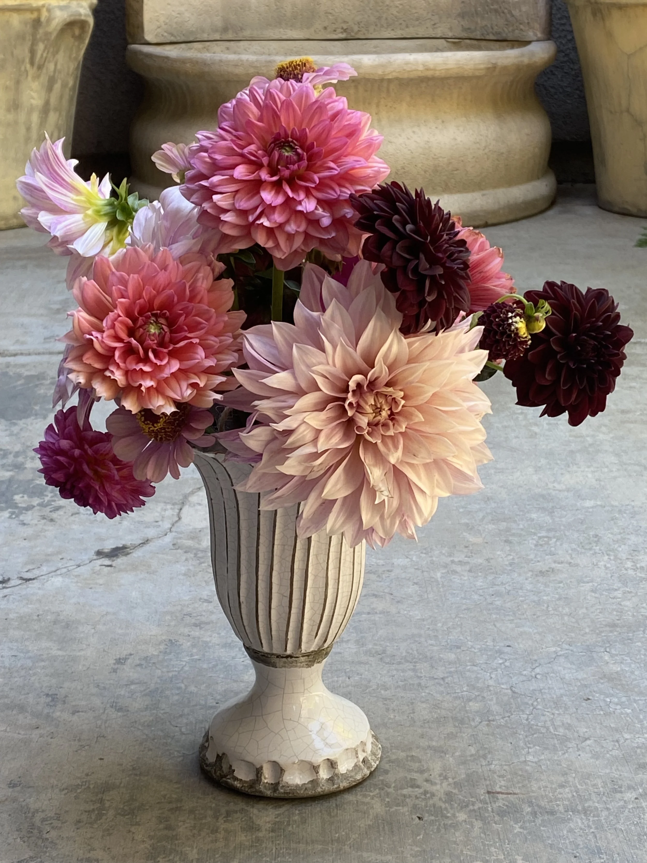 Garden Journal: Remnants of the Summer Garden — The Gilded Bloom