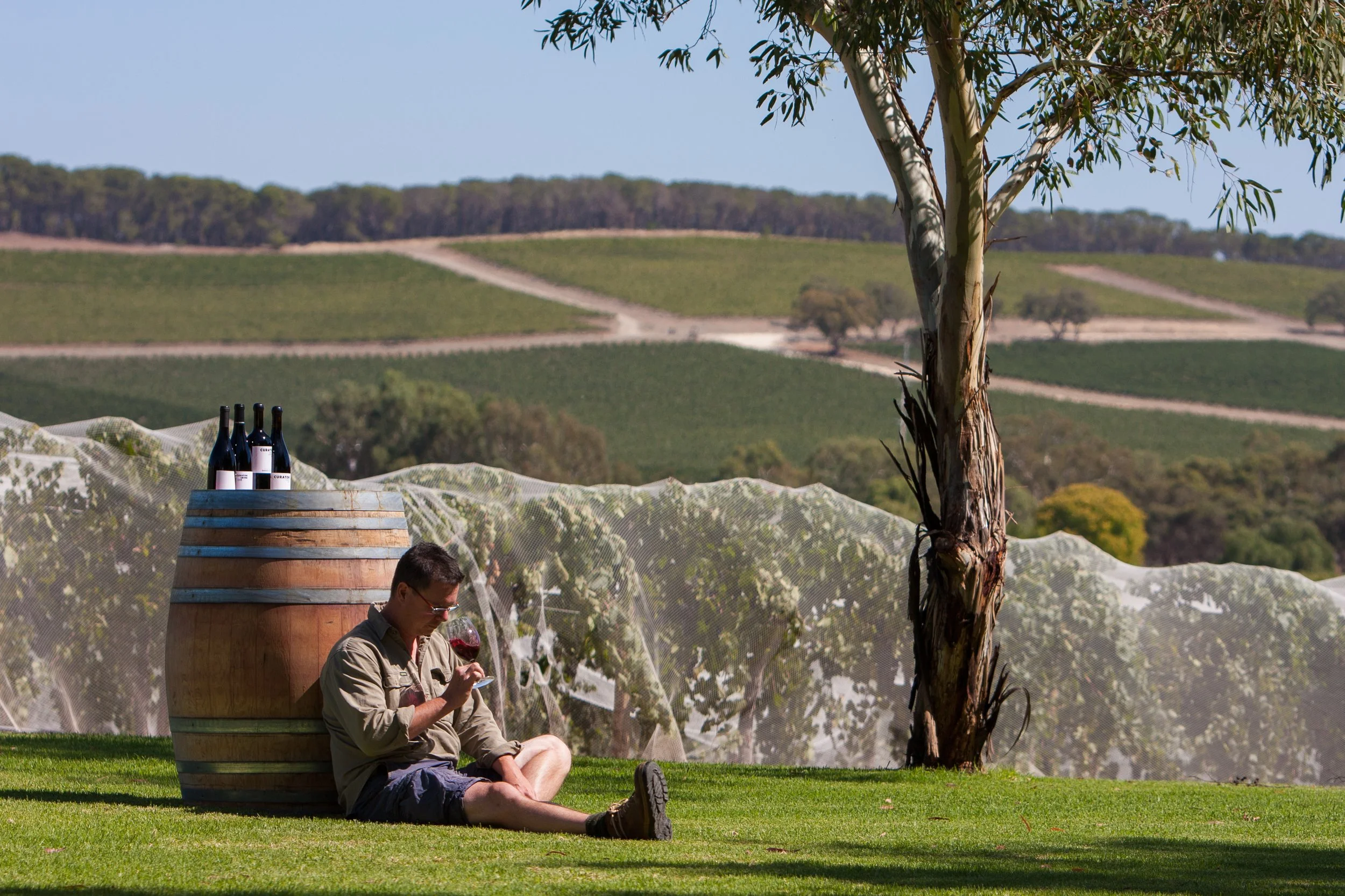 DISTRIBUTORS — Curator Wine Co