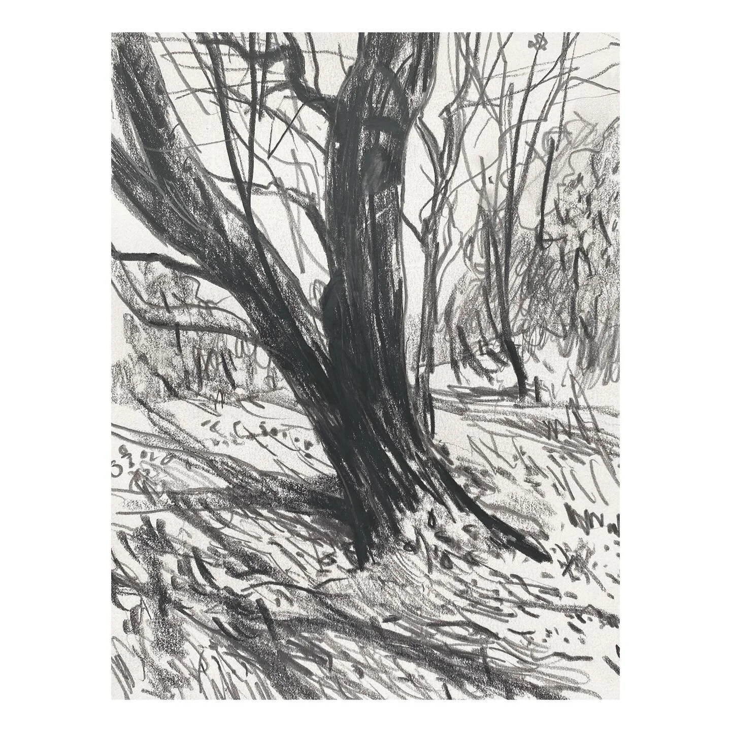 Simon Sparkes – Cotswold Landscape Painter