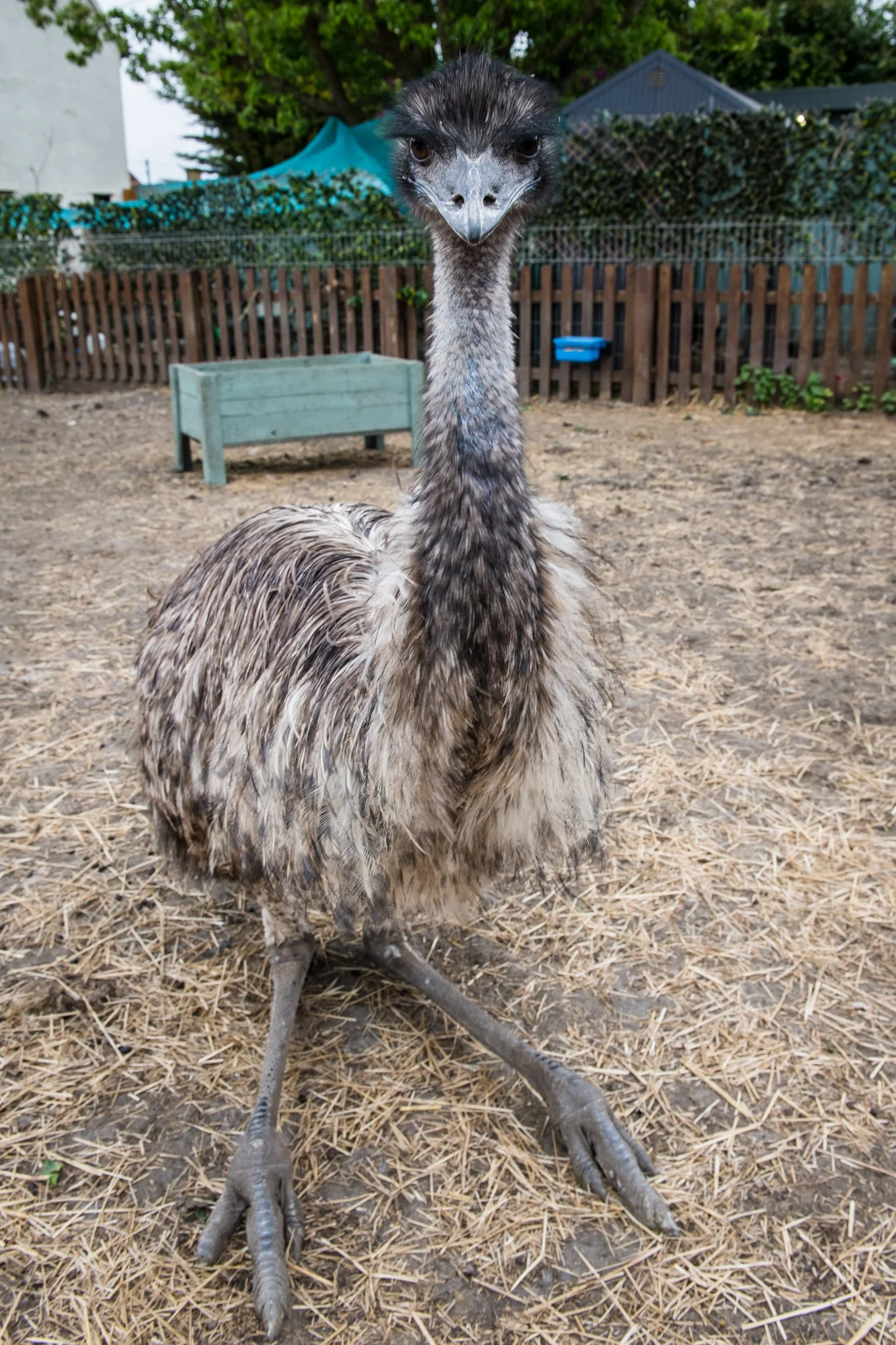 Store 1 — Fripps Farm