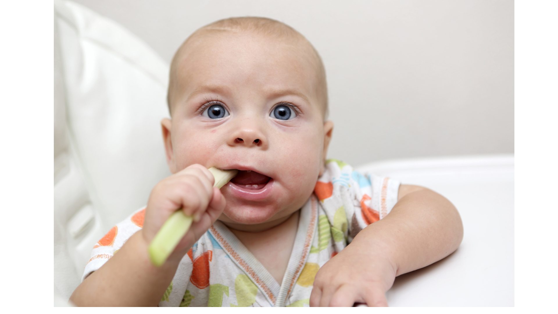 Hard Munchables: Advance Your Baby’s Feeding Skills With Real Food ...