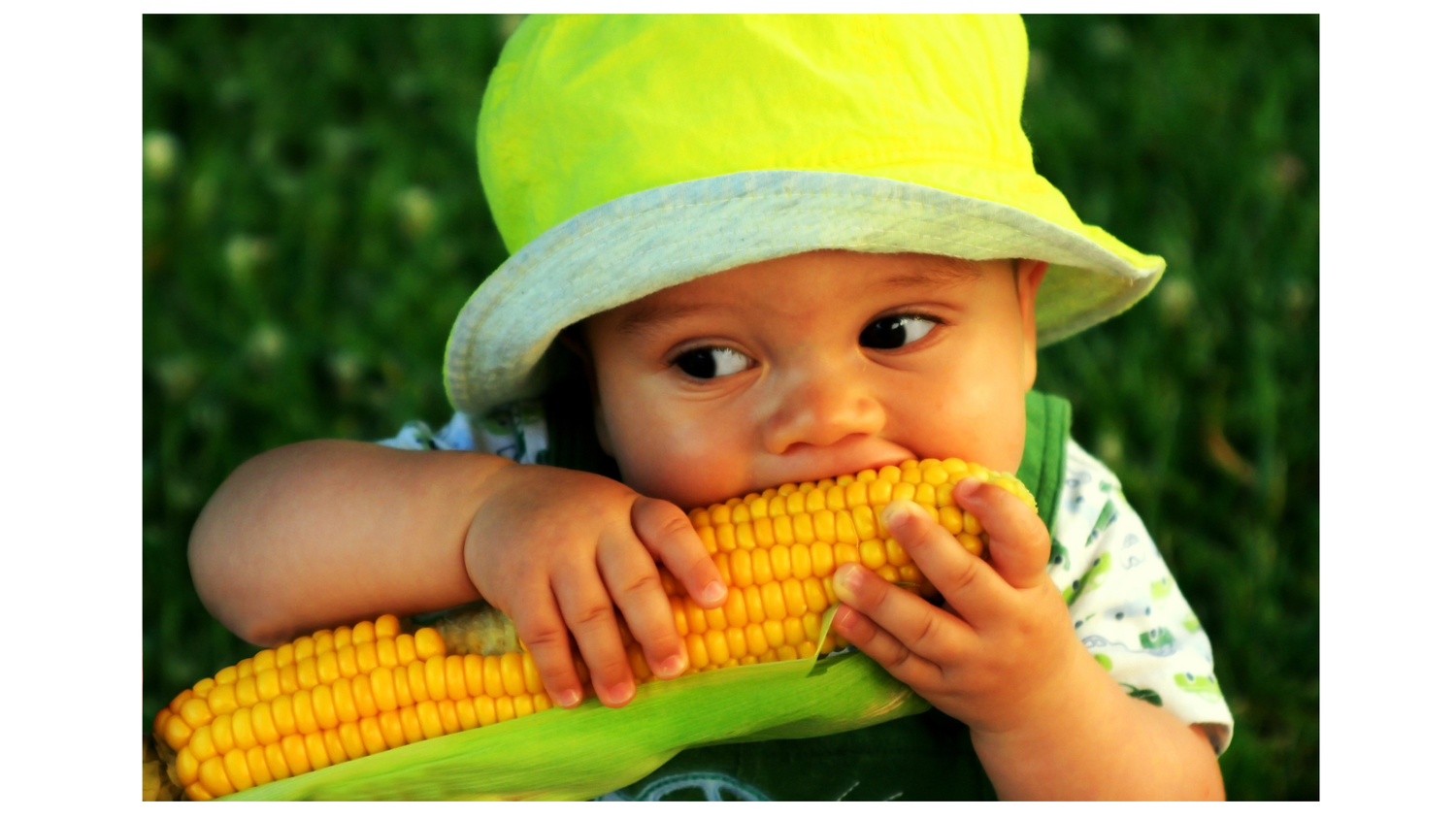 Hard Munchables: Advance Your Baby’s Feeding Skills With Real Food ...