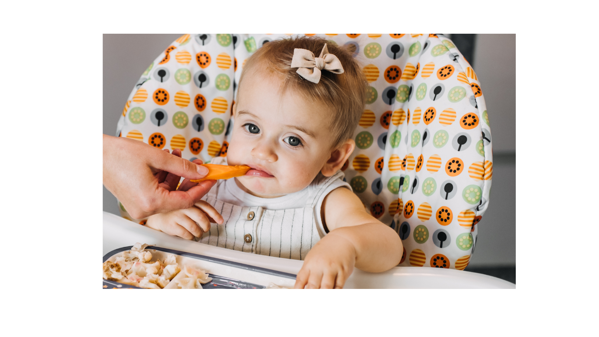 Part 2: Steps to Introducing Solid Foods - Soft Solids and More ...