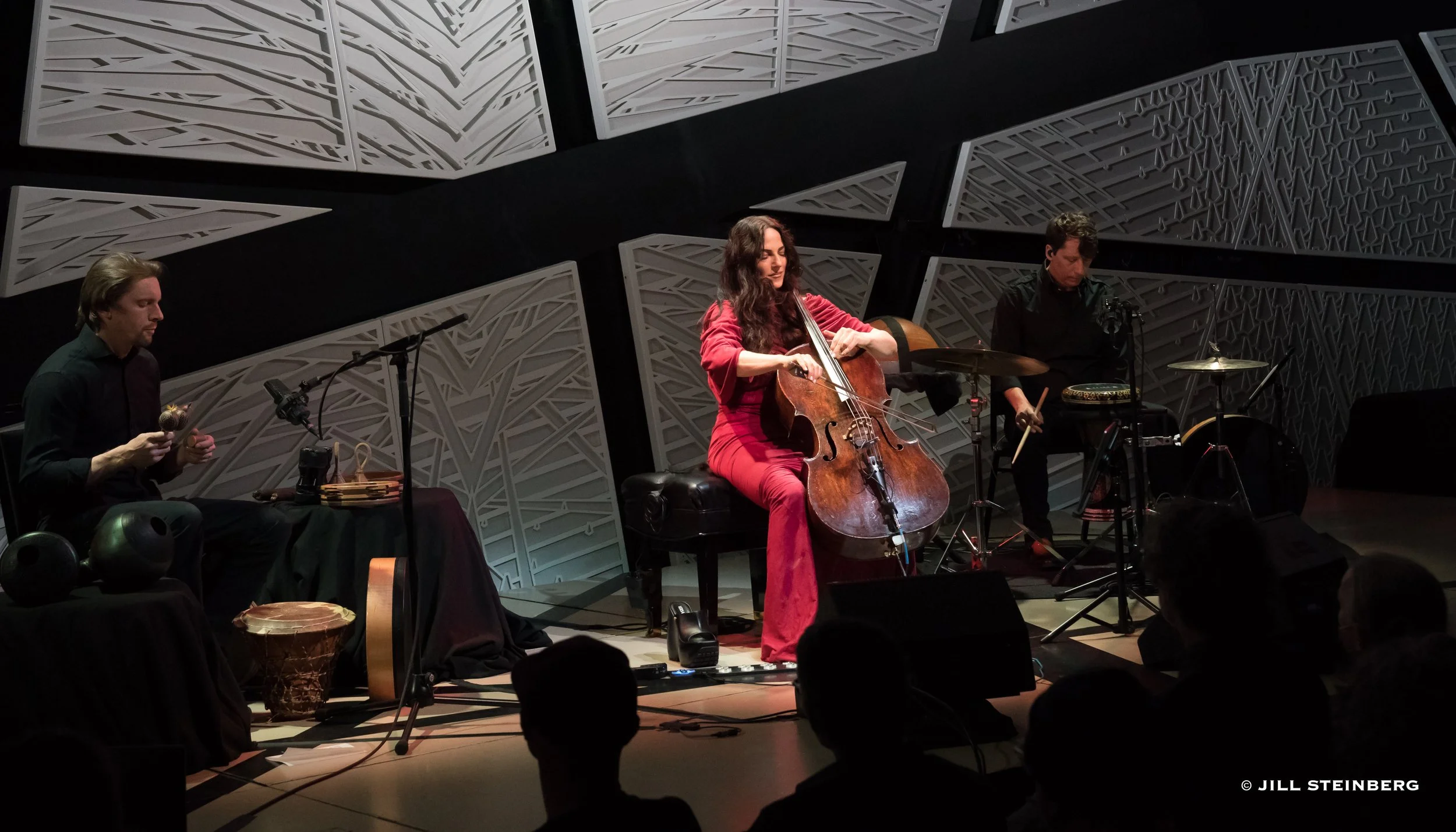 Maya Beiser x Terry Riley | In C — Jensen Artists