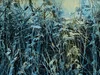 Hidden Place — Hidden Within