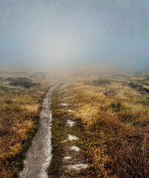 A New Path by Diane Varner — Hidden Within