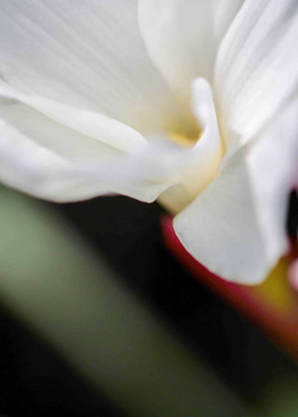Luke Levi - Fine Art Photographer and Poet