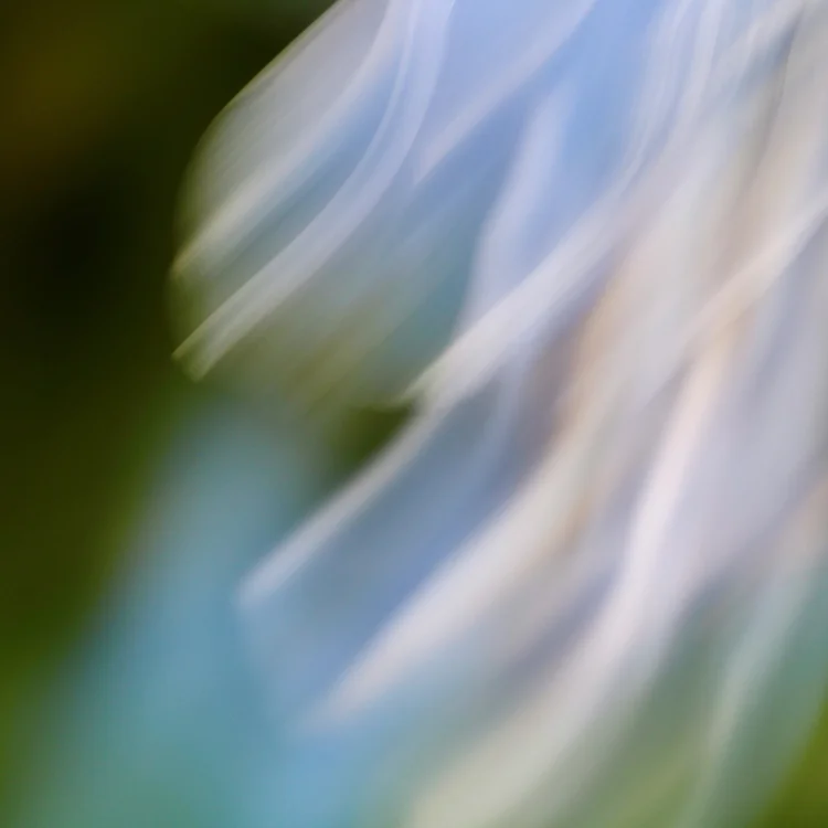 5 Ways To Take Interesting Photos — Luke Levi