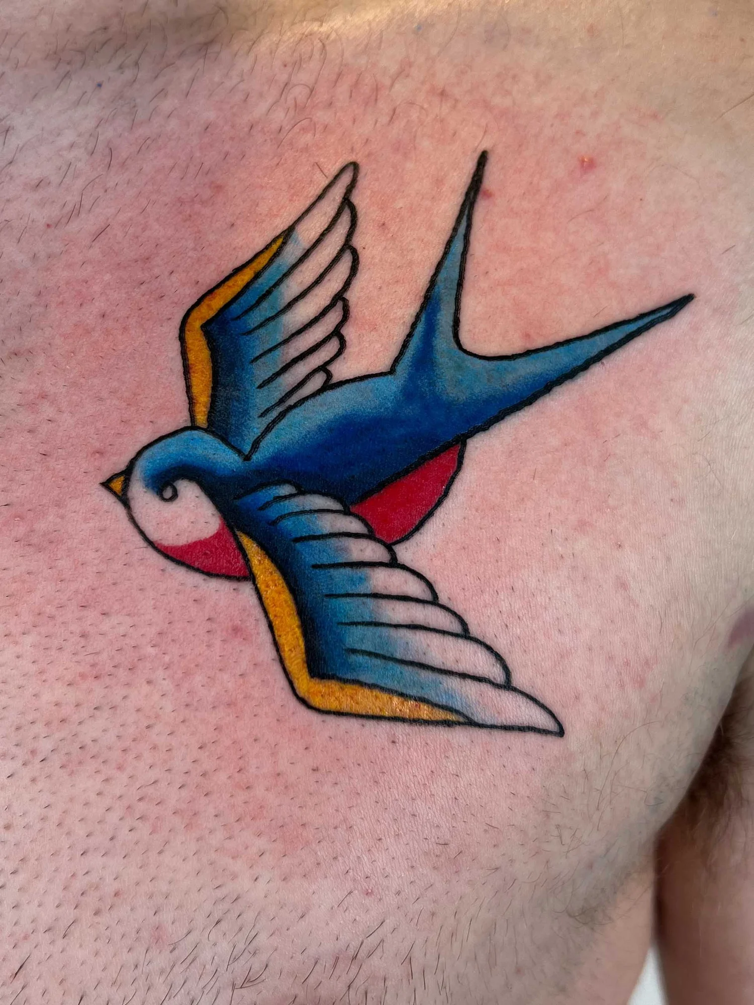 Brandon M. — Black Palette Tattoo & Piercing