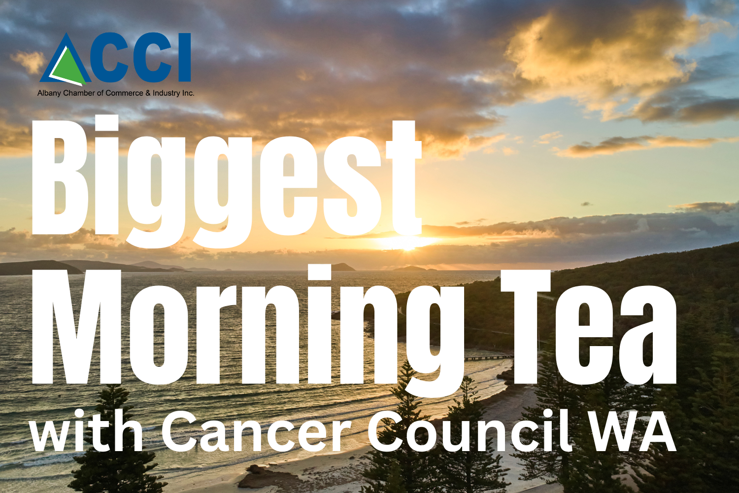 Australia’s Biggest Morning Tea with ACCI + Cancer Council WA — Albany ...