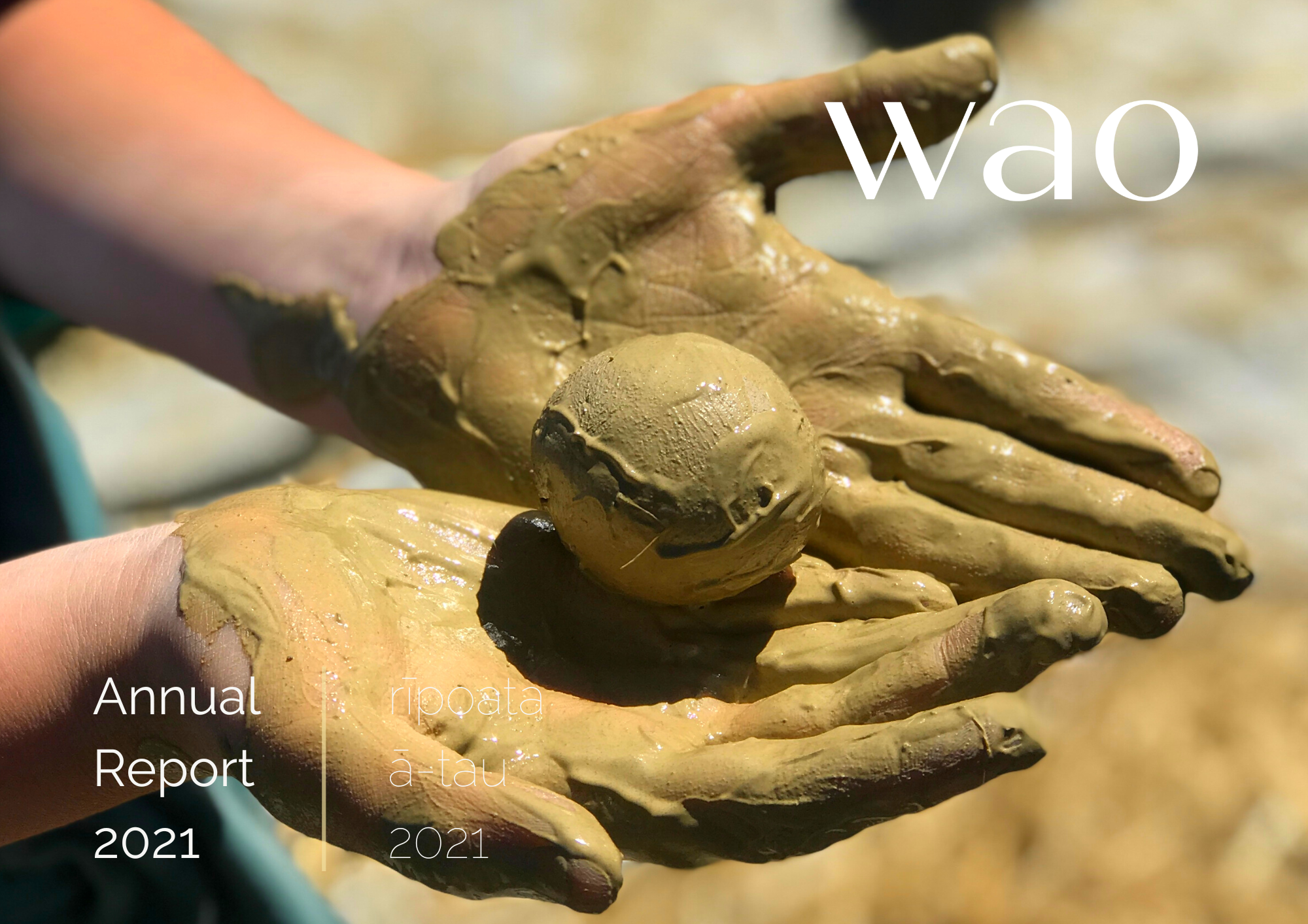 Wao annual impact reports — Wao