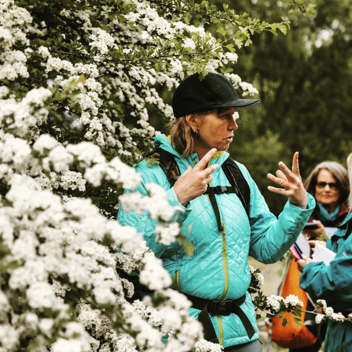 Rochana Moon — Wao