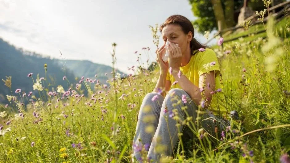 The Seasonal Allergens and How to Prepare for Them