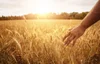 Most Profitable Crops in Texas and Beyond