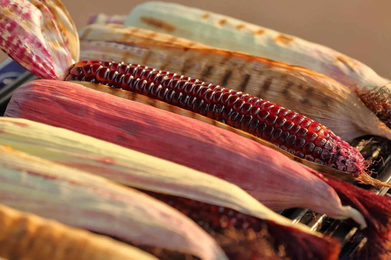 A Comprehensive History of Southern Food and Cuisine | Origins & Traditions