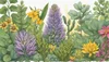 Exploring the Culinary Treasures: Native Edible Plants in Oklahoma
