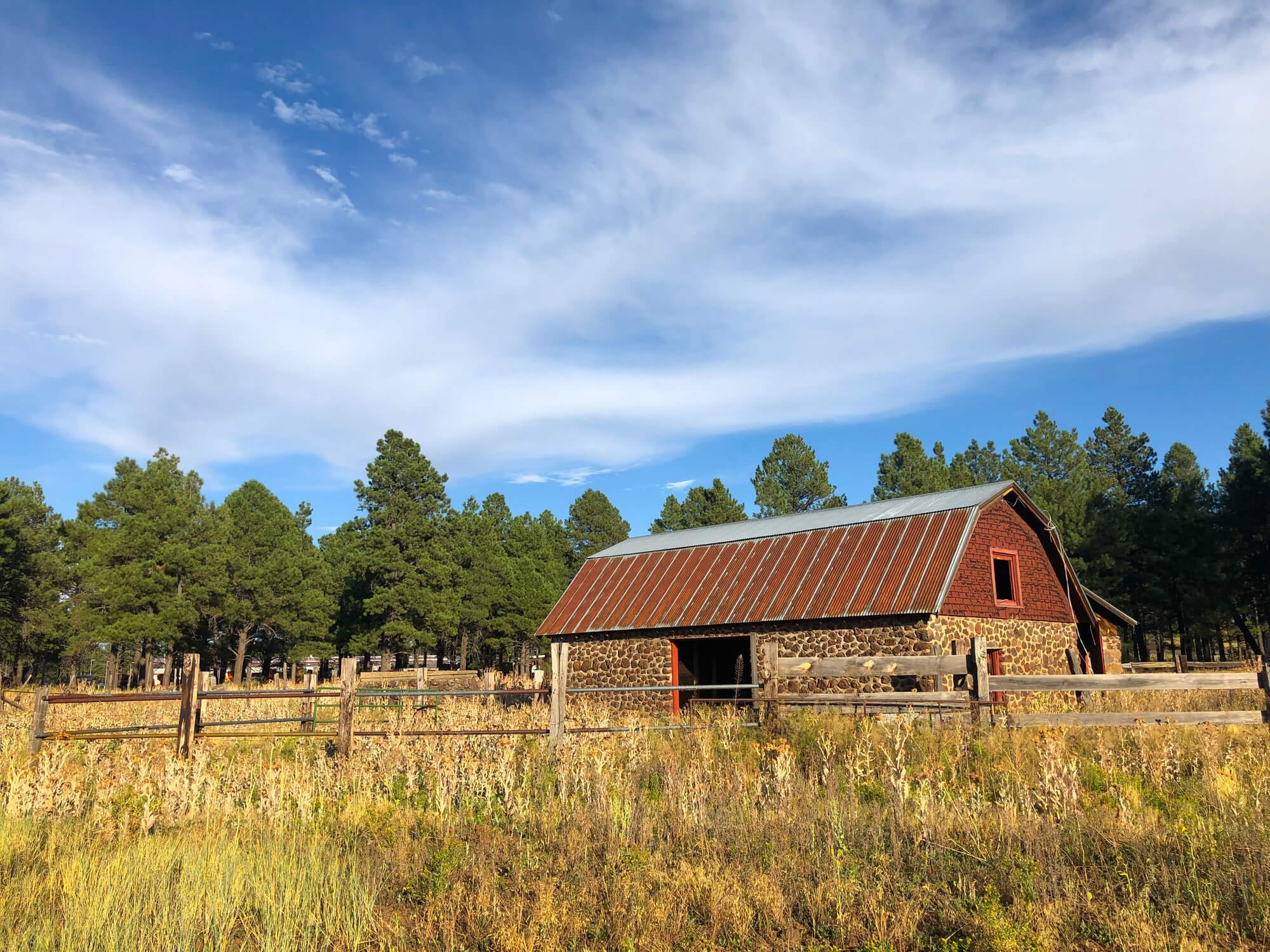 Efficient Cattle Shed Design for Small Herds: Top Solutions
