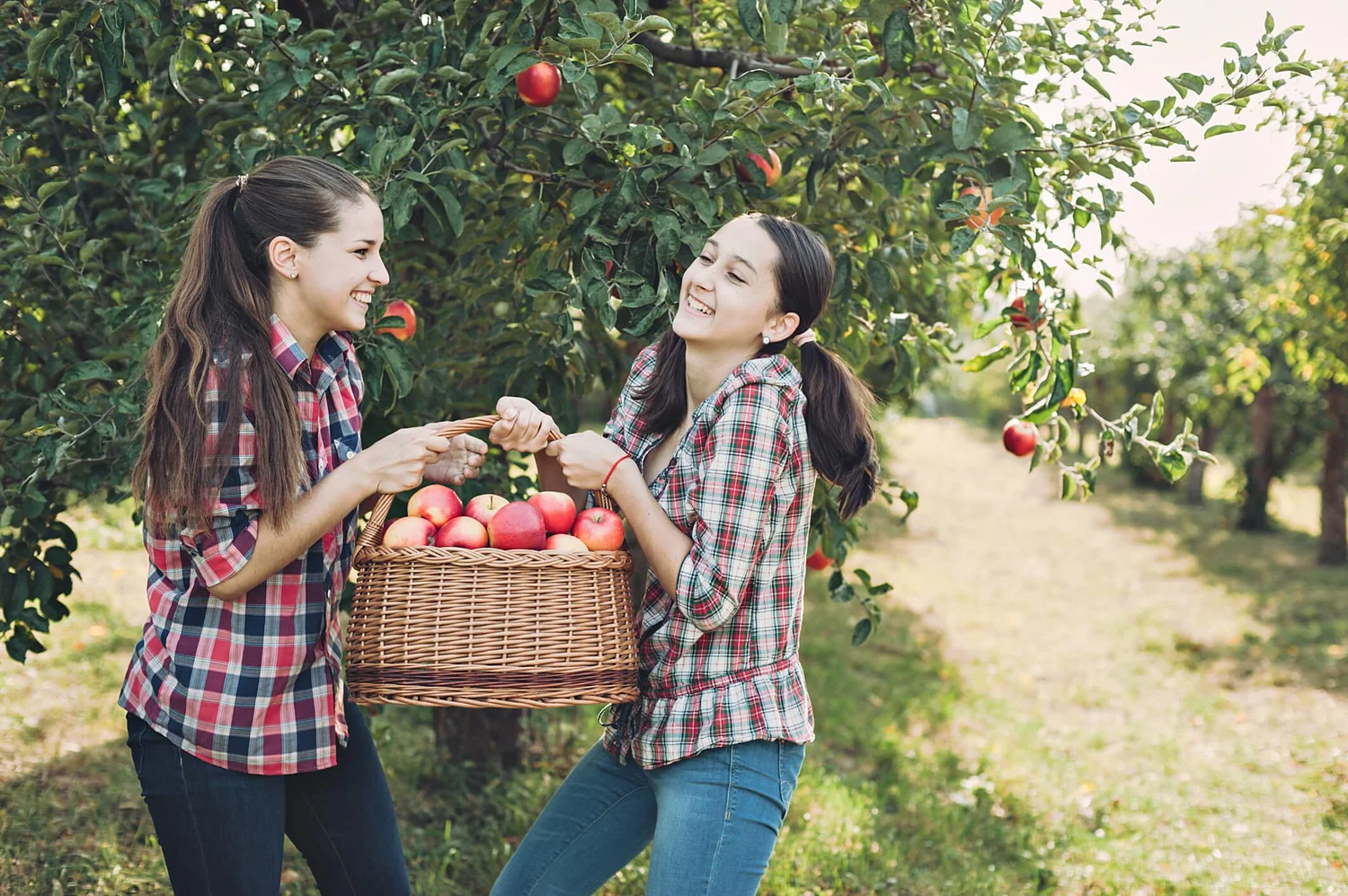 10 Best Orchards for Apple Picking in Texas | Exploring the Garden State