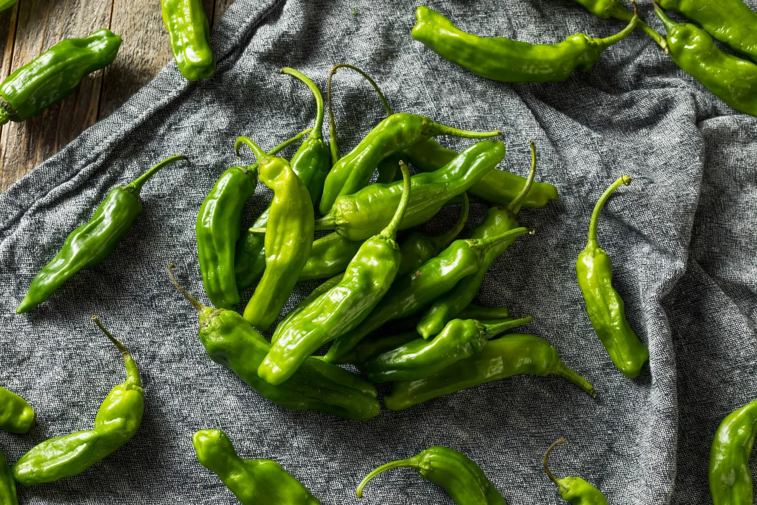 The Top 7 Best Peppers to Grow in Texas | A Guide