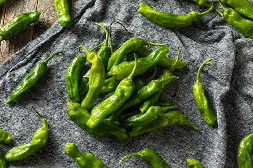 The Top 7 Best Peppers to Grow in Texas | A Guide