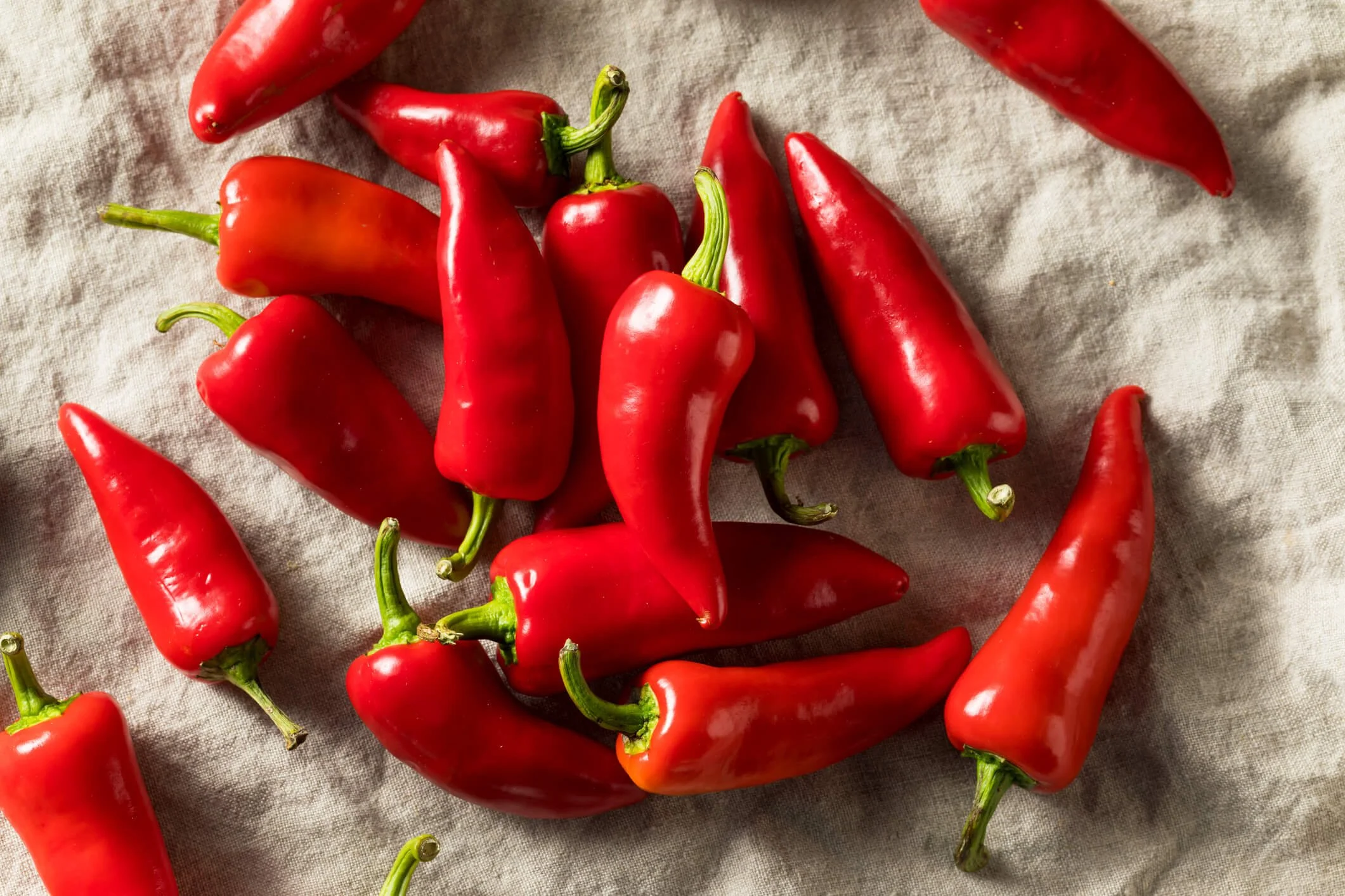 The Top 7 Best Peppers to Grow in Texas | A Guide
