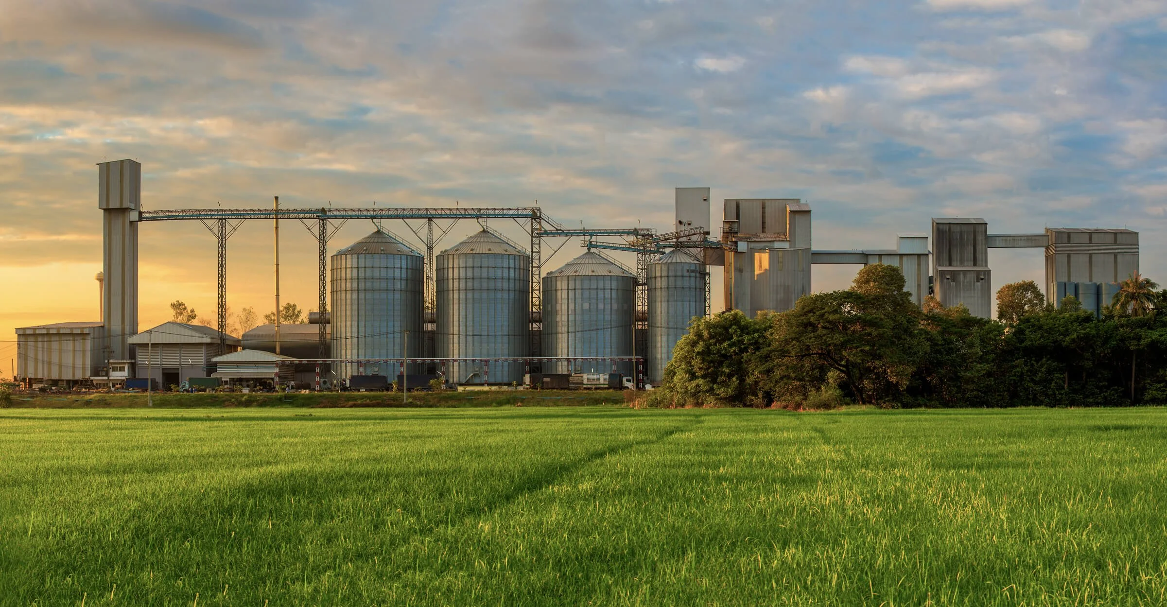 Why Industrial Farming is the World's Most Destructive Industry ...