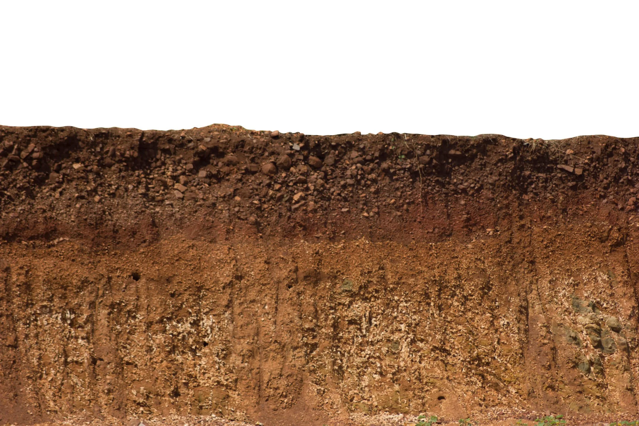 Soil Erosion and Degradation | Uncovering the Biggest Threat to Our ...