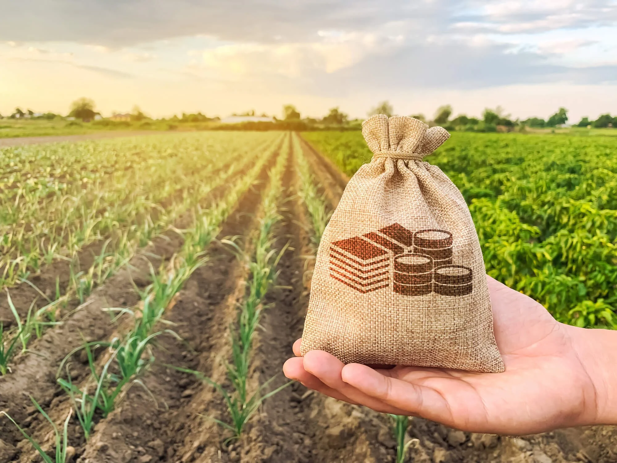 Investing in Farmland and Ranchland in Texas | A Good Viable Investment