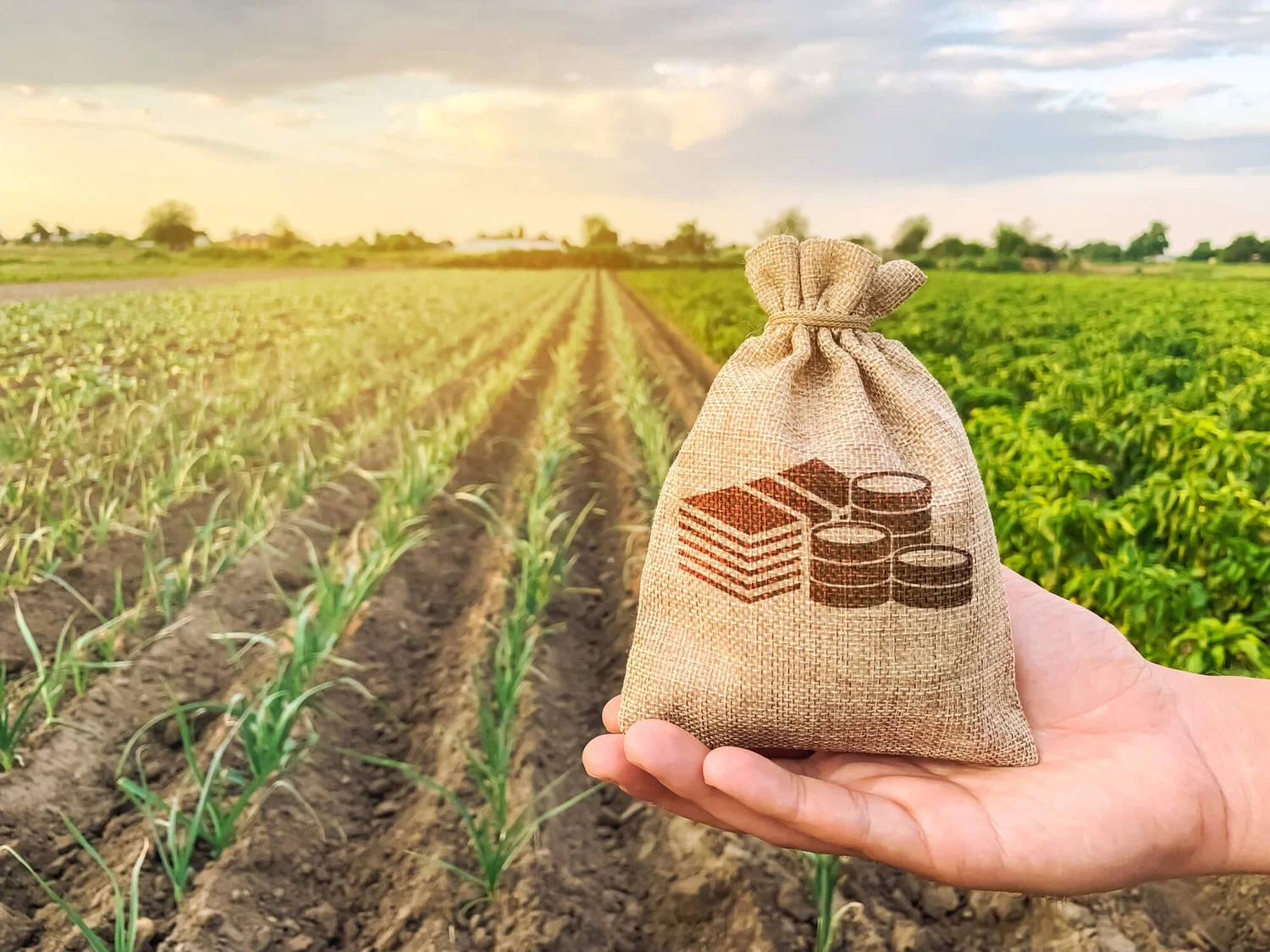 Investing in Farmland and Ranchland in Texas | A Good Viable Investment