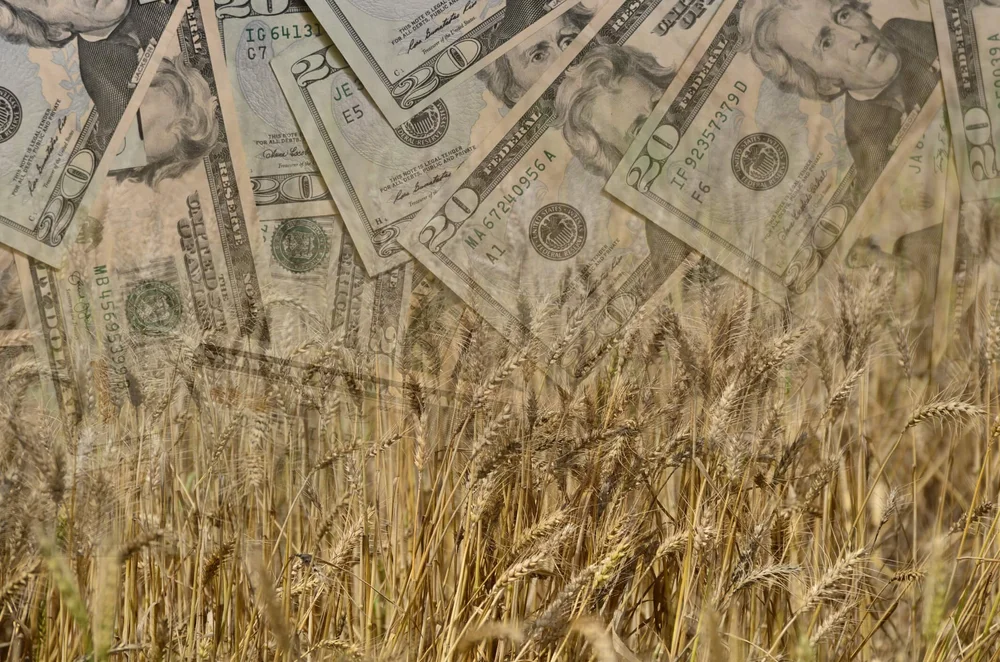 Investing in Farmland and Ranchland in Texas | A Good Viable Investment