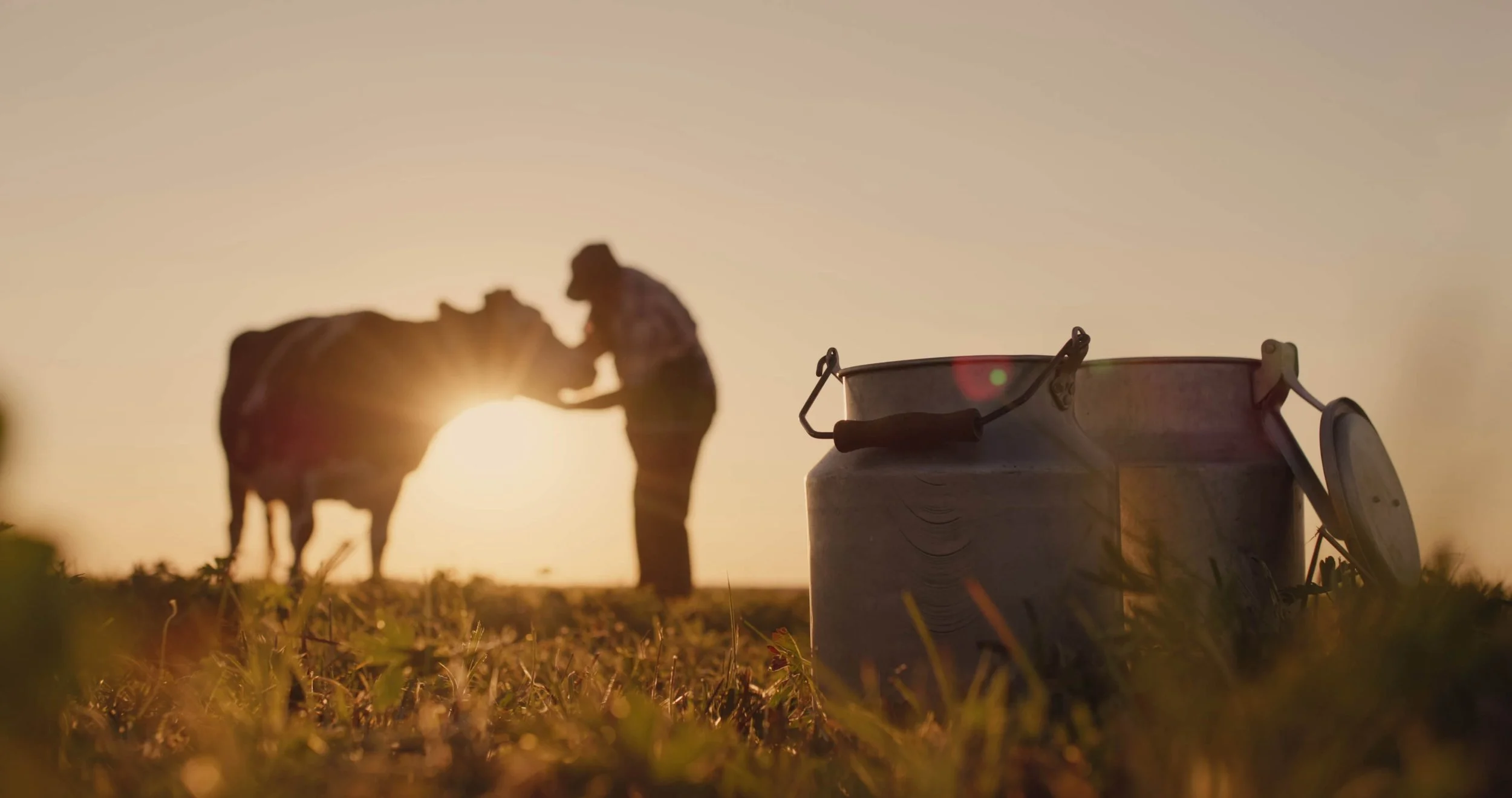 The Ultimate Raw Milk Resource Guide: Everything You Need to Know