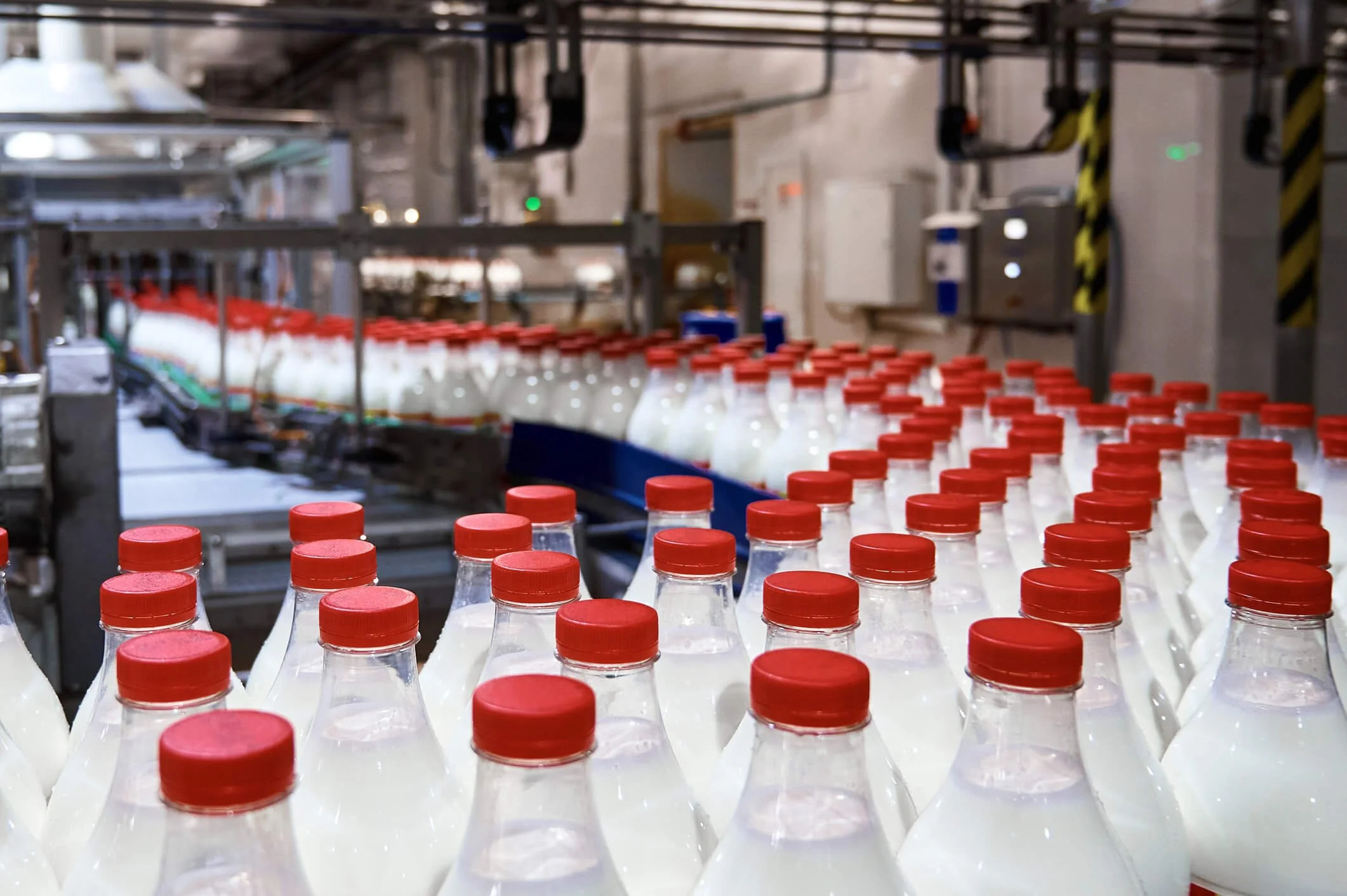The Ultimate Raw Milk Resource Guide: Everything You Need to Know