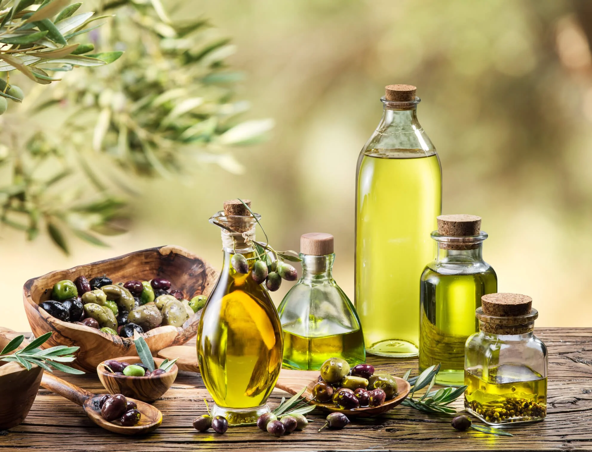 Everything You Need to Know About Olive Oil | A Comprehensive Guide