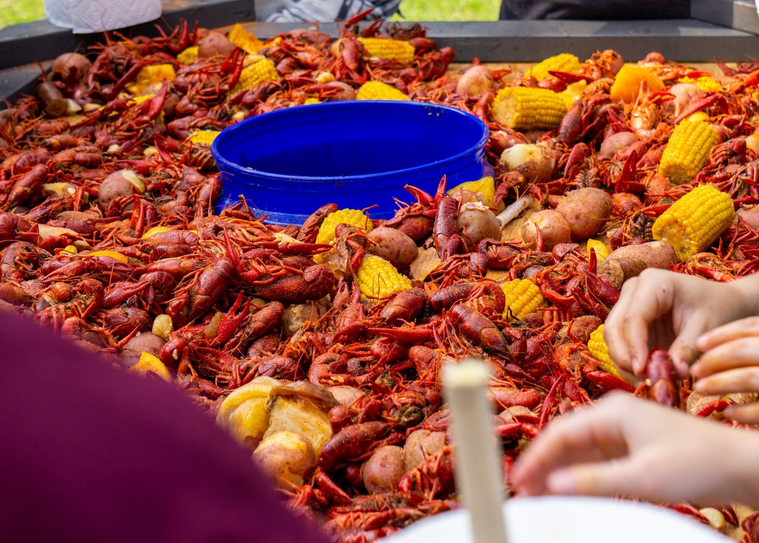 Texas Crawfish Everything You Need to Know About Seasonality and Where ...